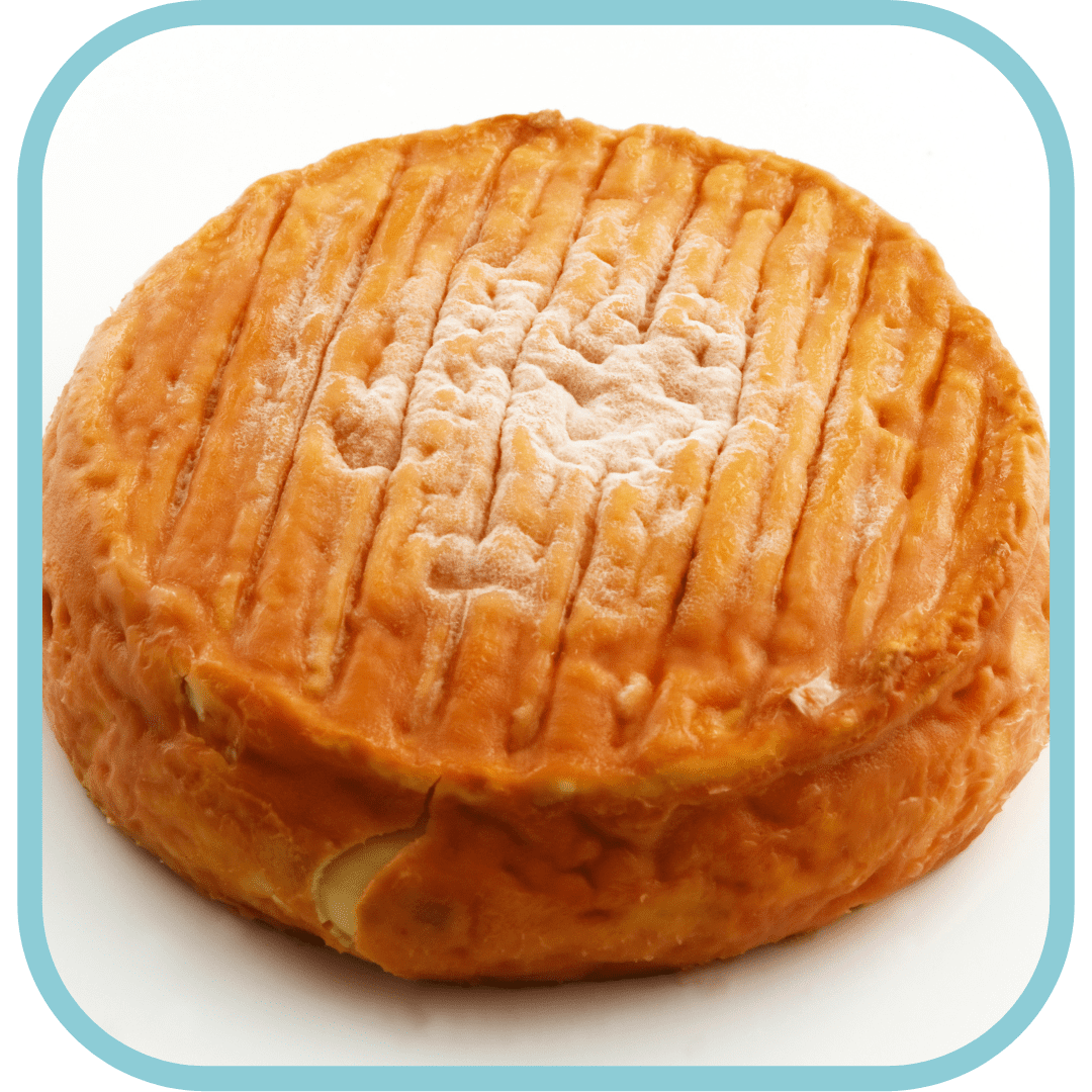 Masterclass: Epoisses AOP - CharlieTurnbull.com