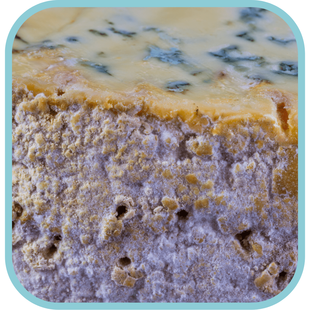 Masterclass: Blue Stilton PDO - CharlieTurnbull.com